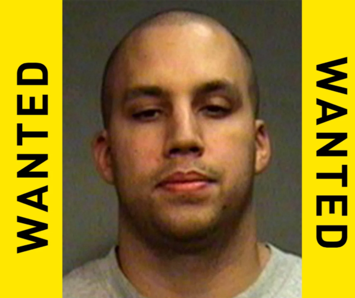 Puerto Rico detiene a un peculiar apicultor: uno de los gángster más ...