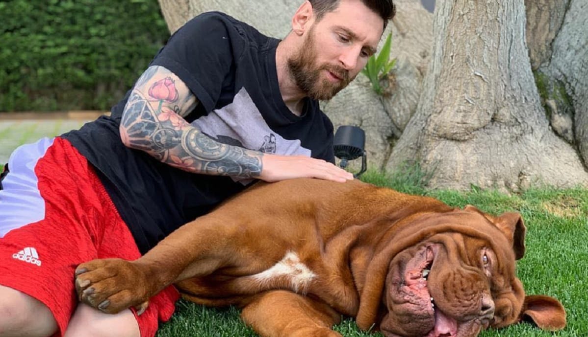 ¿Qué pasó con Hulk, el perro de Messi? Por esta razón no viajó con la ...