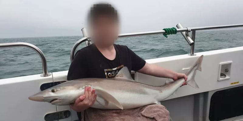 Las sentencias al grupo ciberterrorista Lapsus$ por filtrar data ...