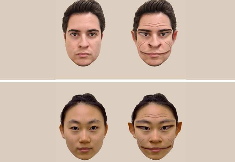 ¿Qué es la Prosopometamorfopsia, trastorno que distorsiona los rostros?