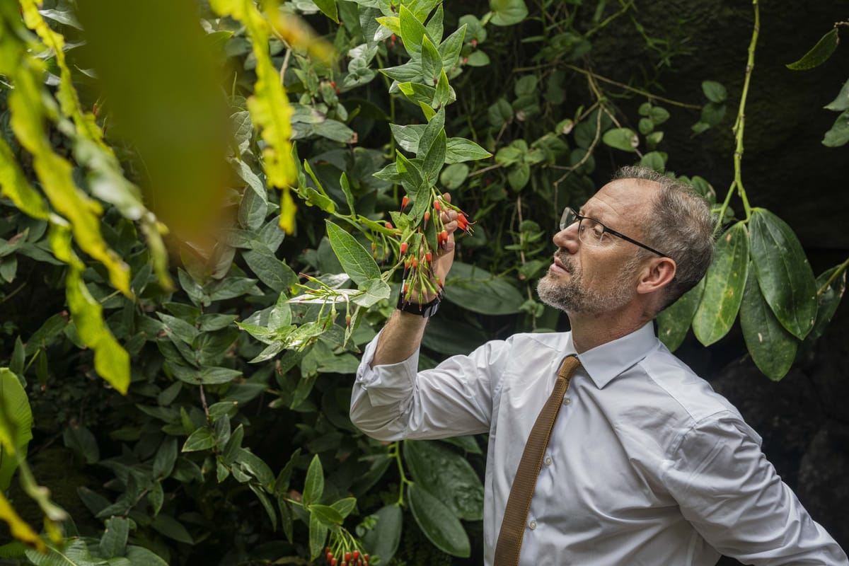 Los humanos podrían resultar ser la especie 'clave' más crucial de todas